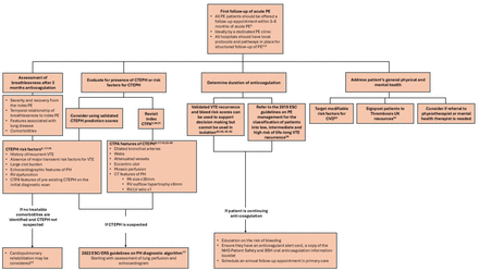 Practical guide to management after an acute pulmonary embolism | BMJ ...
