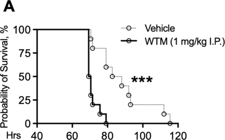 Epidermal growth factor receptor regulates Beclin-1 in hyperoxic acute ...
